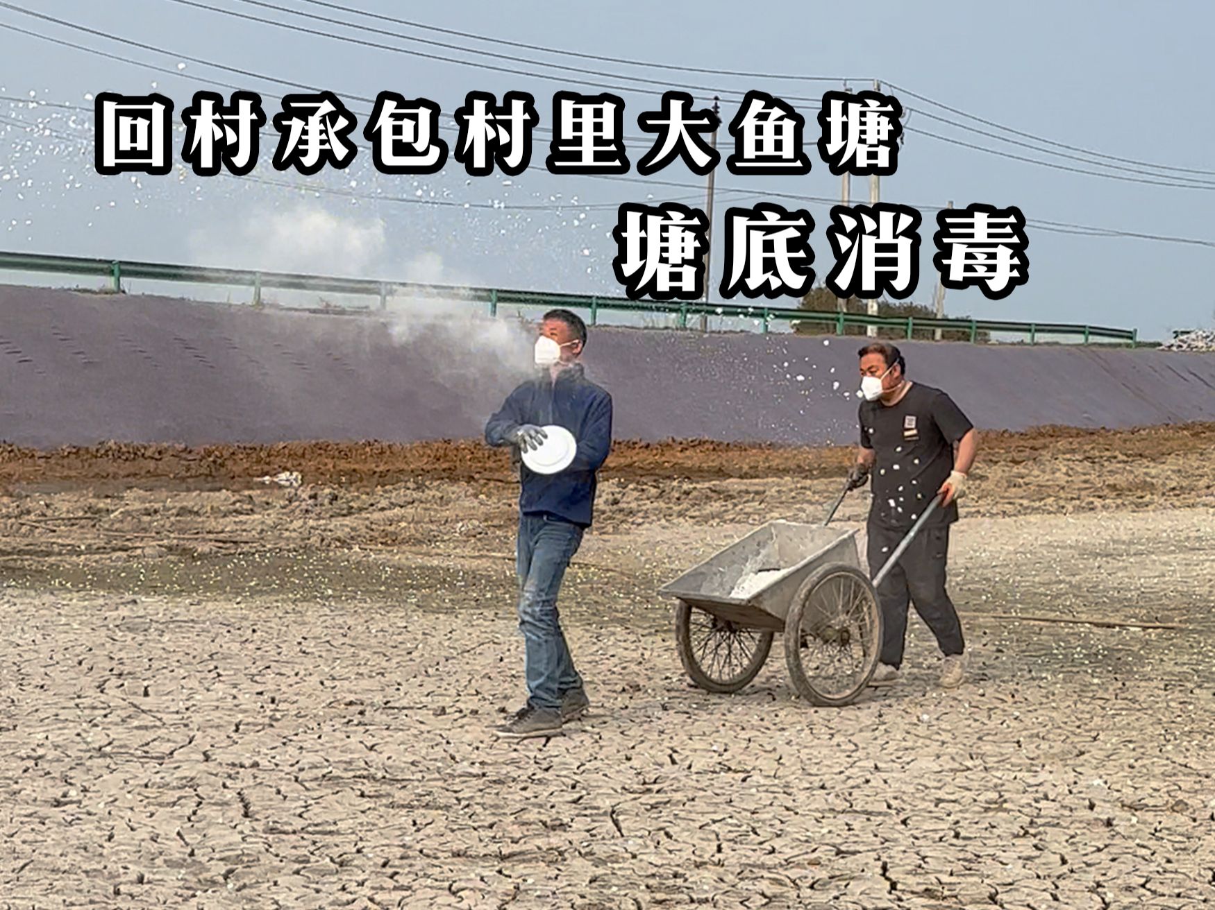 我回村承包的鱼塘已经晒了3个月,终于可以撒石灰消毒了