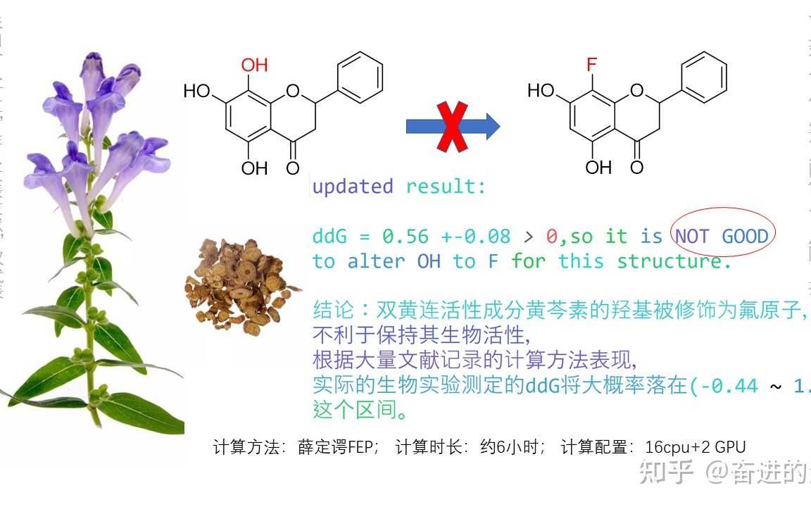 薛定谔Schrodinger ligand FEP 双黄连活性成分黄芩素自由能微扰计算