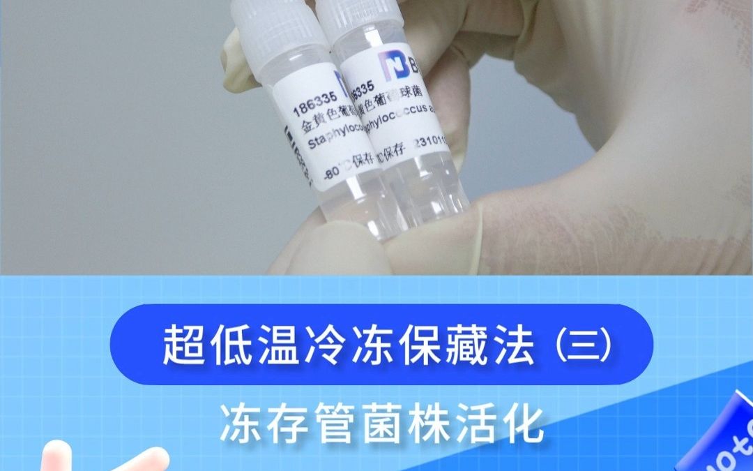 冻存管菌株活化实验操作教学