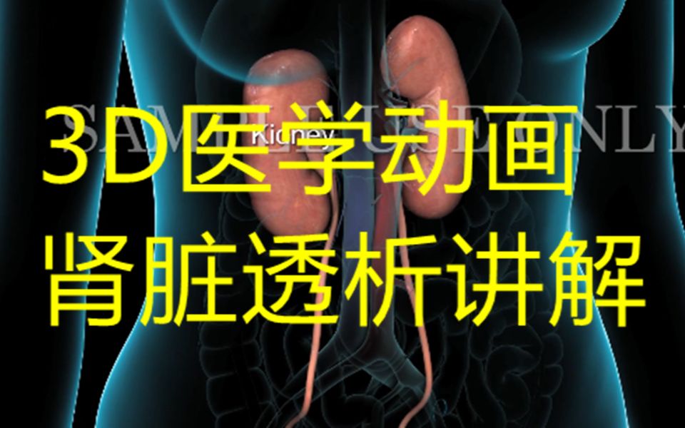 肾脏透析讲解-3D医学动画