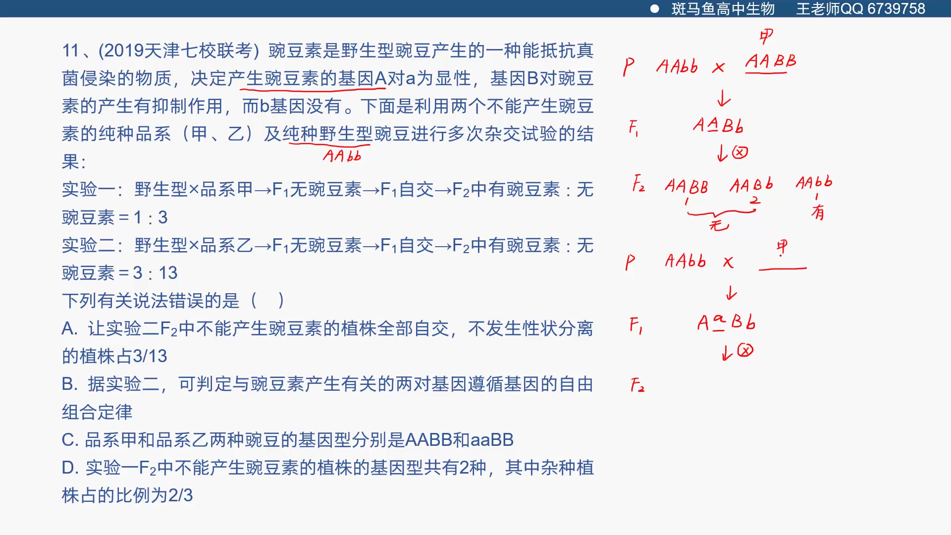 自由组合定律之特殊分离比13比3例题【豌豆素】