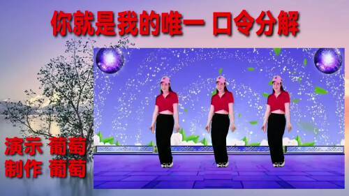 简单好学好看的广场舞《你就是我的唯一》动作分解教学