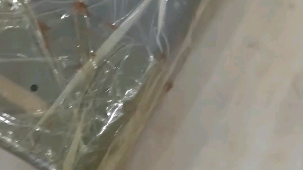 罗马仕充电宝57000 DIY保护壳