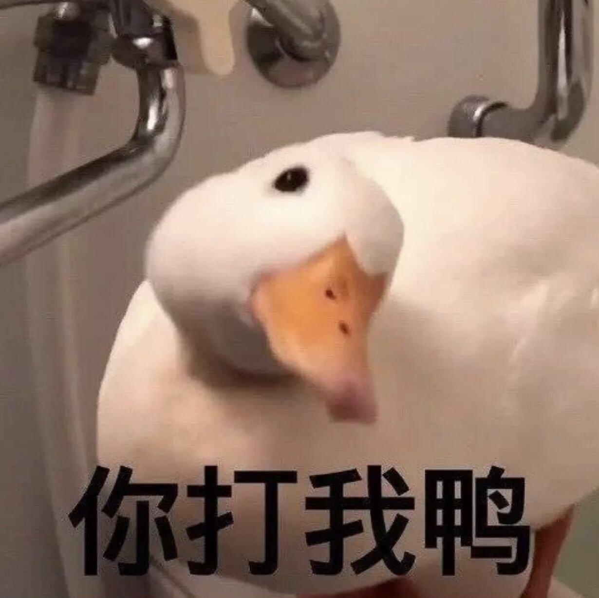 宁子殿下 