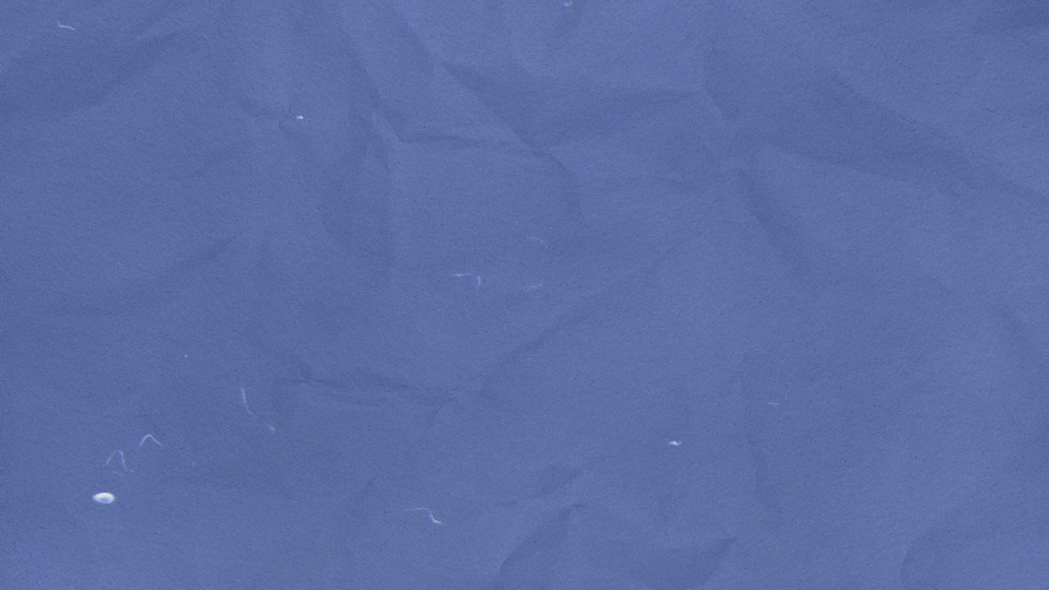 以科技创新赋能服务业