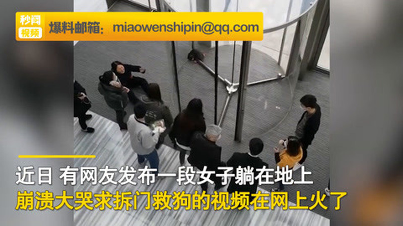 宠物狗被旋转门卡住,女子倒地嘶喊求拆门救狗,物业:违规带狗进入且未...