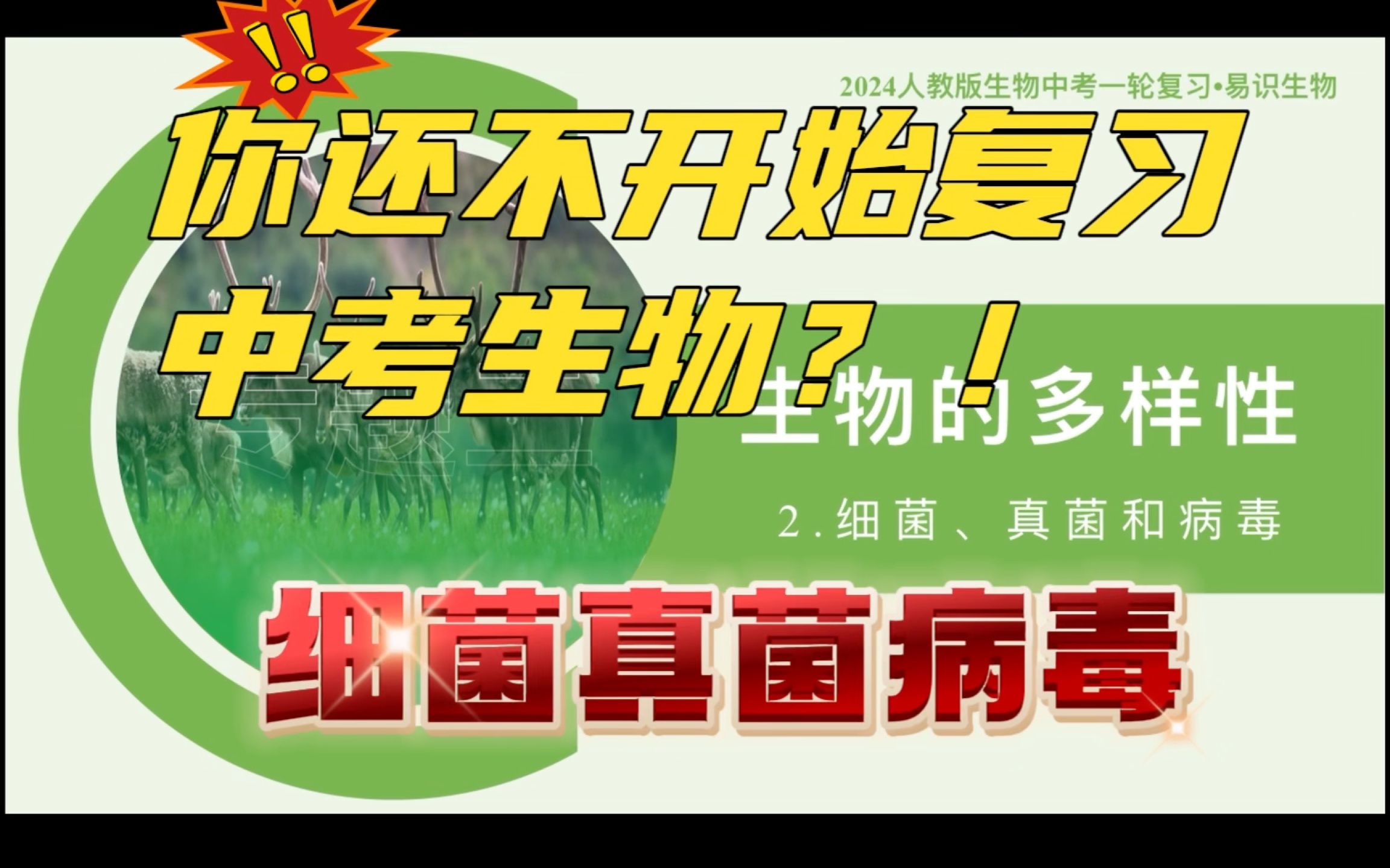 ...人教版生物会考|一轮复习|专题二 生物的多样性(第2节 细菌真菌和病毒)