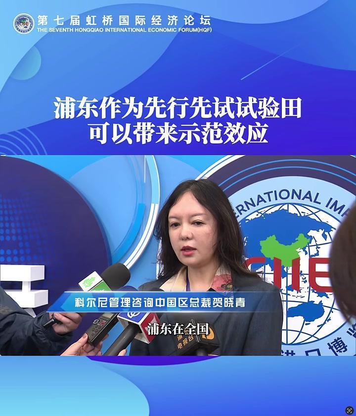 科尔尼管理咨询中国区总裁贺晓青:浦东作为先行先试试验田可以带来...