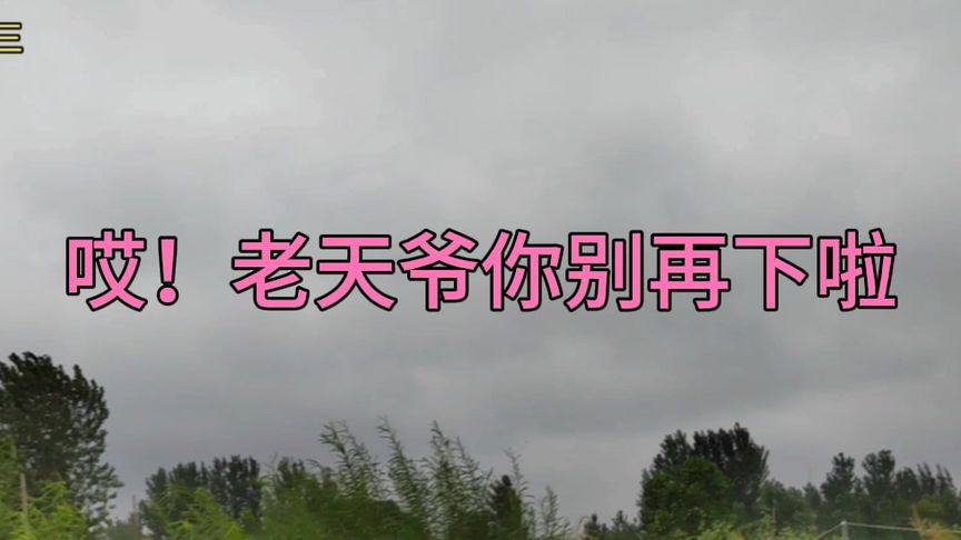 又淹啦!又淹啦!徐州又下暴雨啦!庄稼淹惨啦…