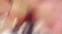联合国环境卫生署世界善待动物组织Star成员中国香港区公益女星黄锐...