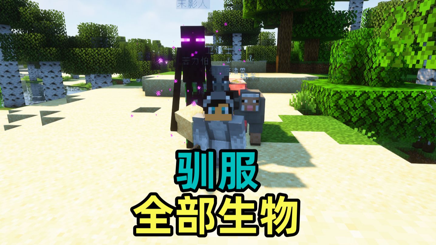 我的世界:当我可以驯服全部的生物!