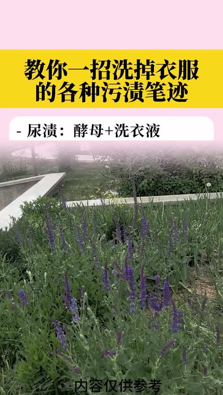 教你一招洗掉衣服的各种污渍笔迹