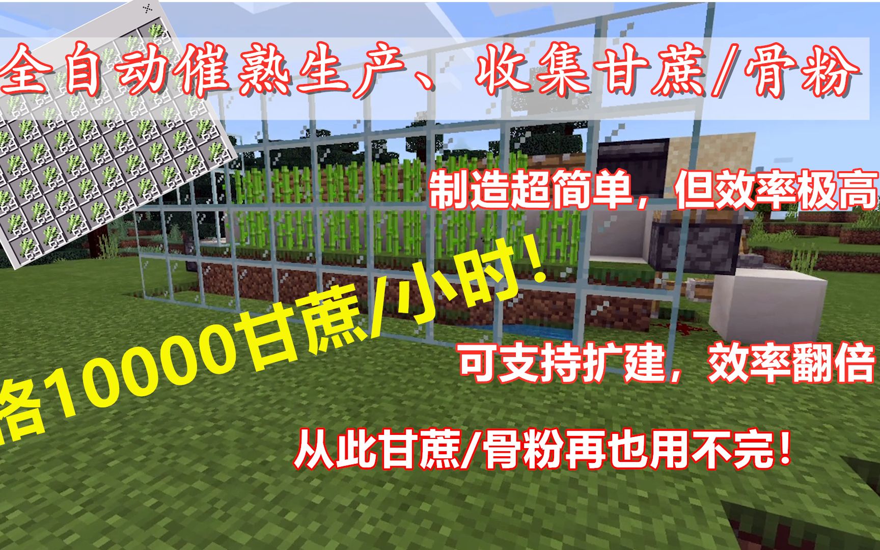 《我的世界》超高效率甘蔗/骨粉机教程,巨简单,从此再也不缺骨粉和...