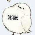 GUGU饼干 