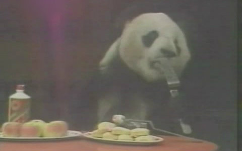 【1983年央视春晚】杂技《大熊猫吹喇叭》表演:大熊猫伟伟&上海...