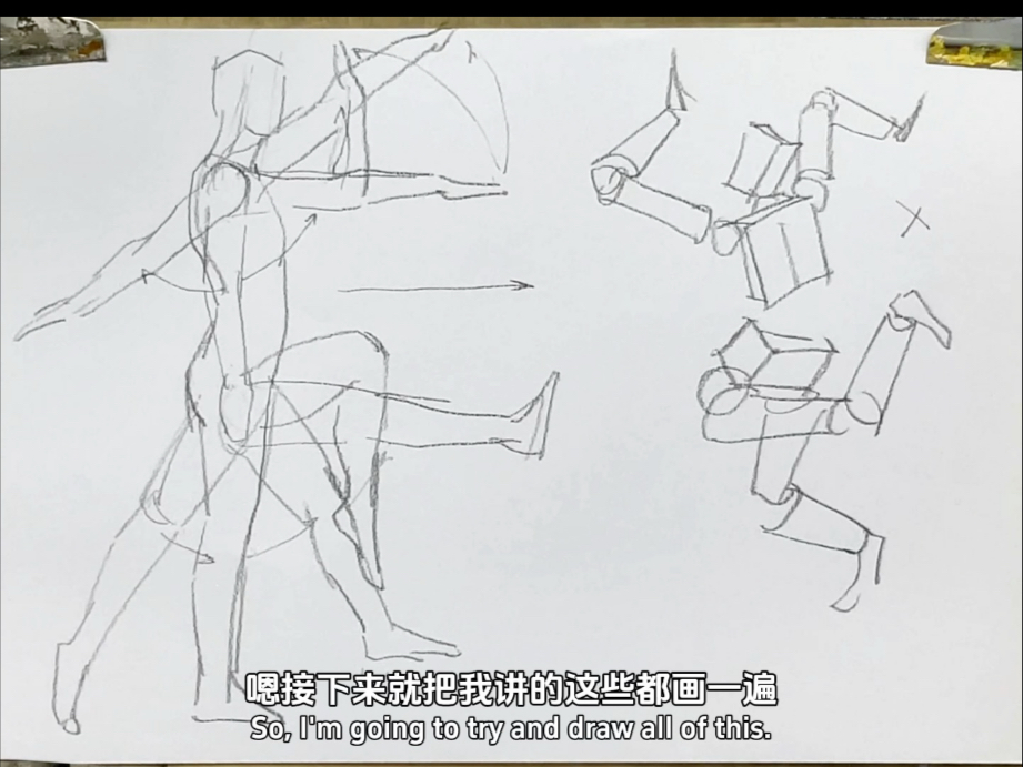 四肢运动2|你画的人体动作姿势和真实差很远?从结构看这里!