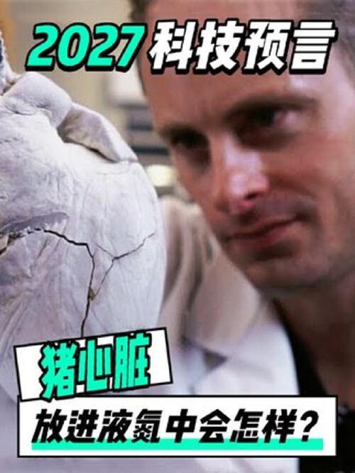 液氮威力能有多大?使用猪的心脏进行测试,结果令人难以置信