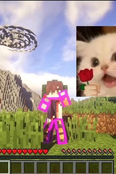 全网我的世界宝可梦手机联机最详细的教程