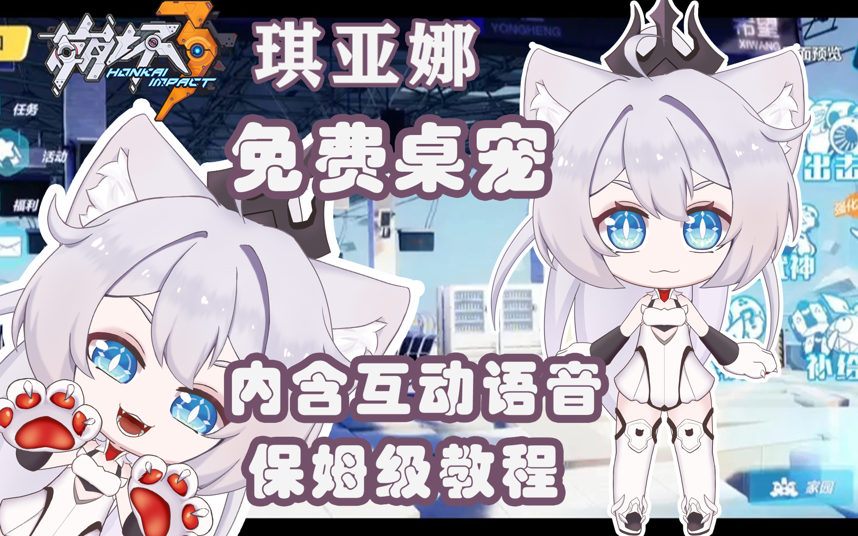 【live2d桌宠】养一只猫猫琪在桌面