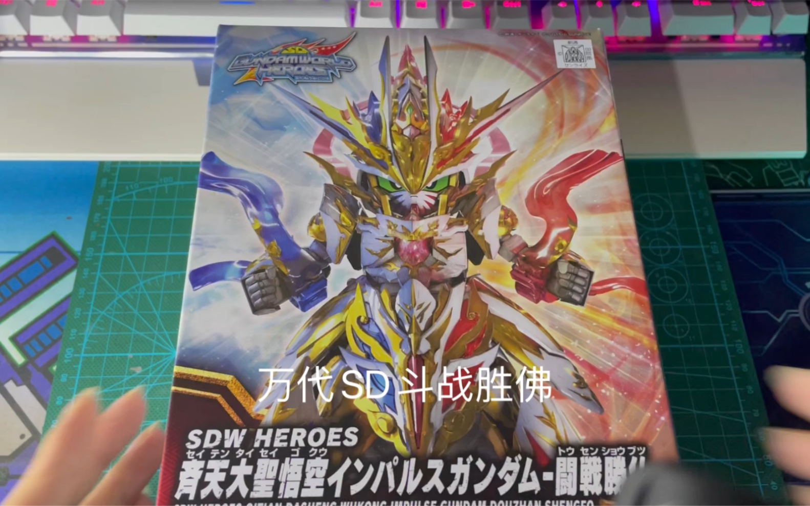 《小殷模玩》万代SD斗战胜佛重涂