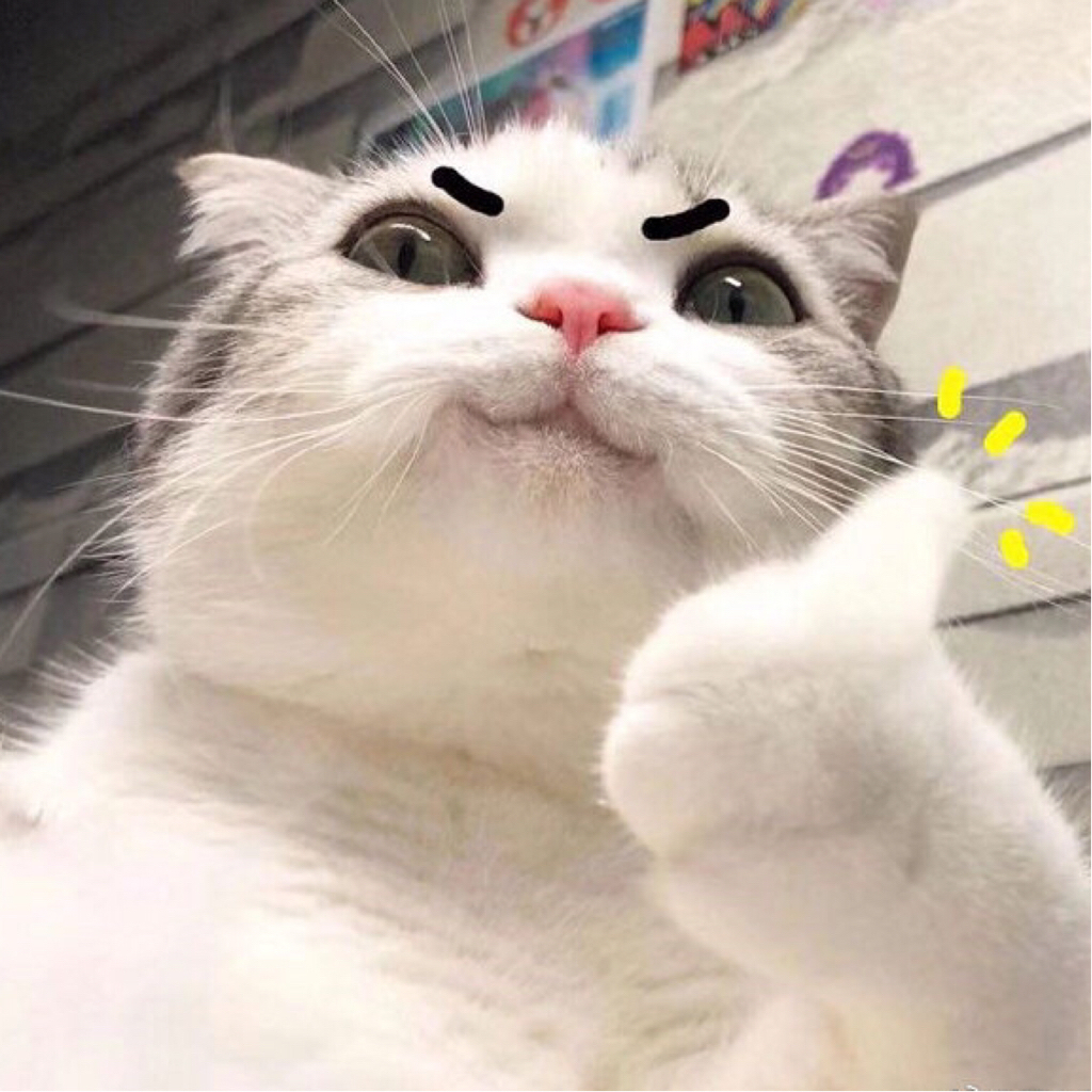 陈走走Zooce 
