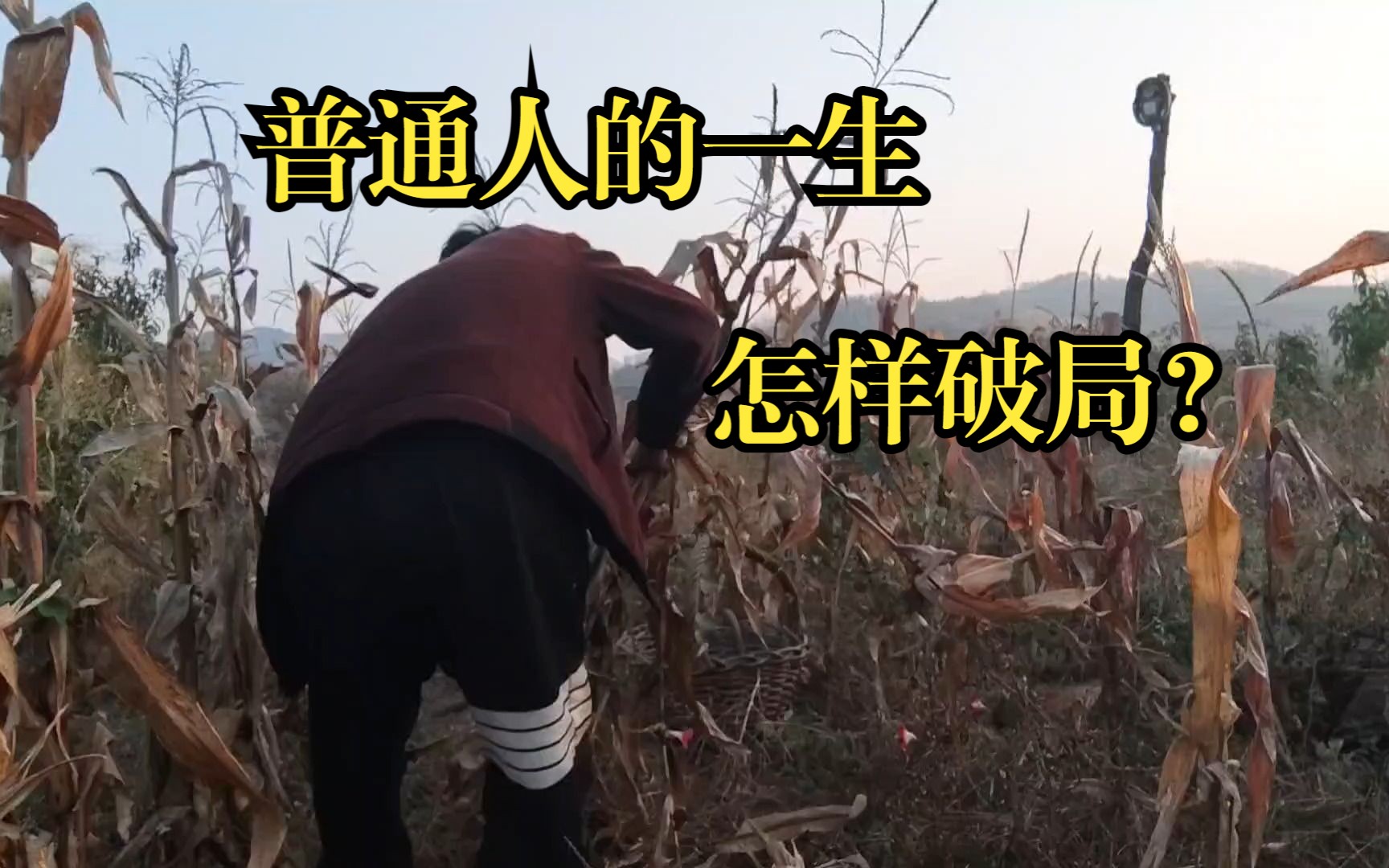 普通人的一生,怎样破局?
