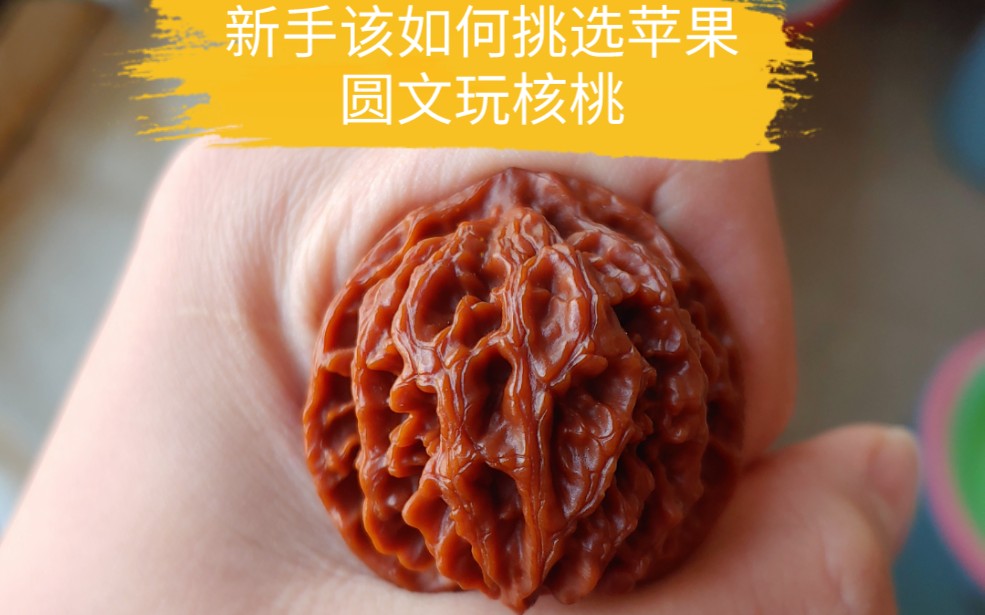 新手该如何挑选苹果园,视频长而且第一次说话多多包涵