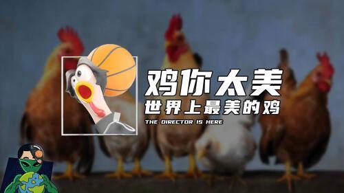 鸡你太美,世界上特美的鸡