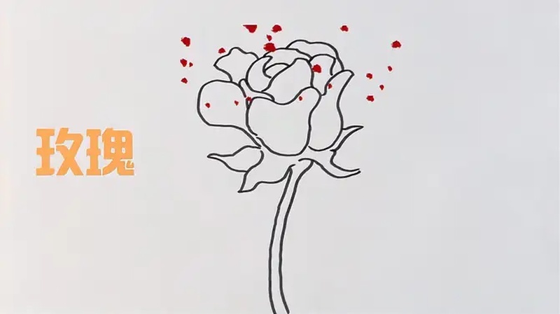 玫瑰花怎么画简单