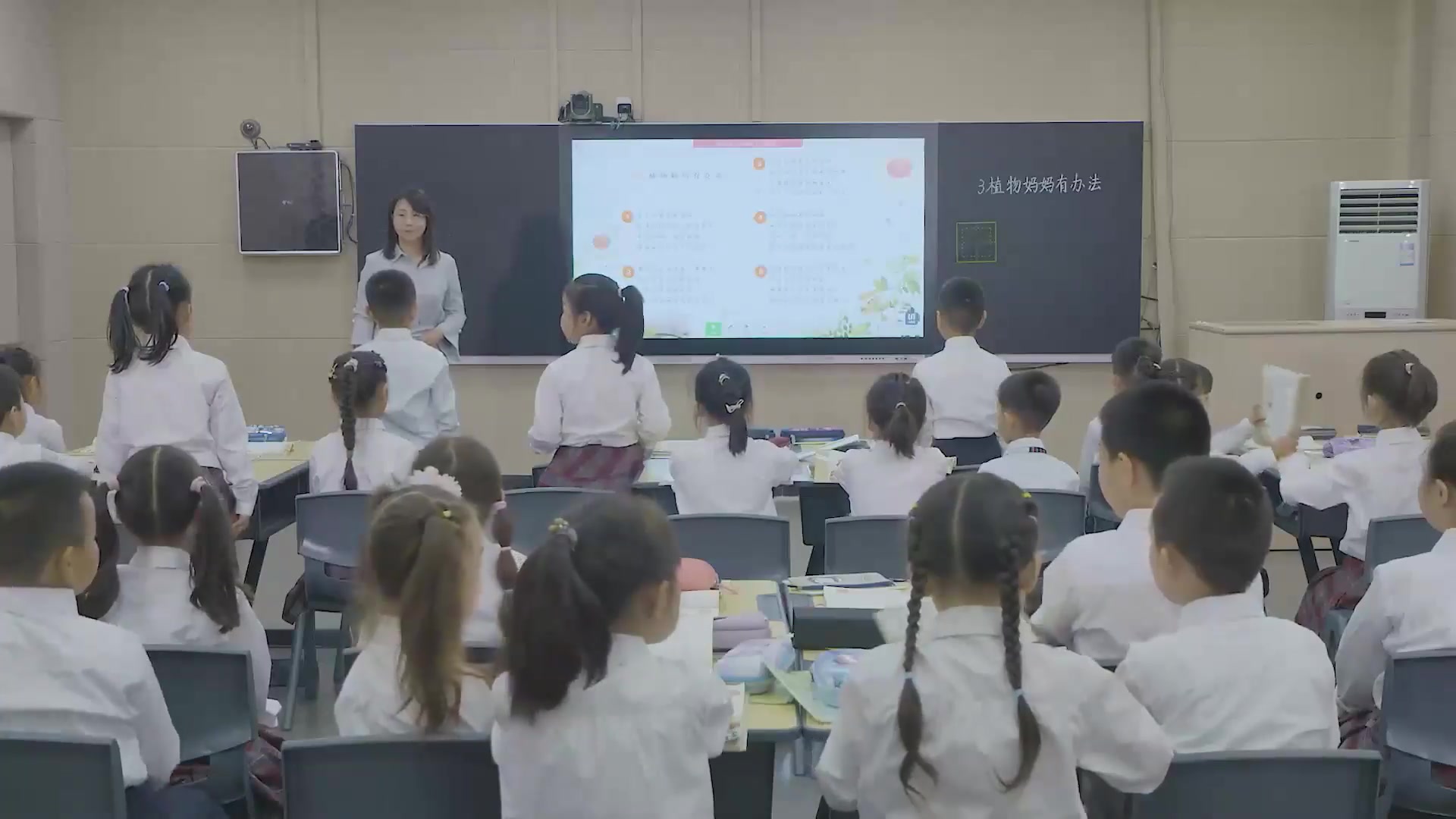 二上:《植物妈妈有办法》(含课件教案) 名师优质公开课 教学实录 小学...