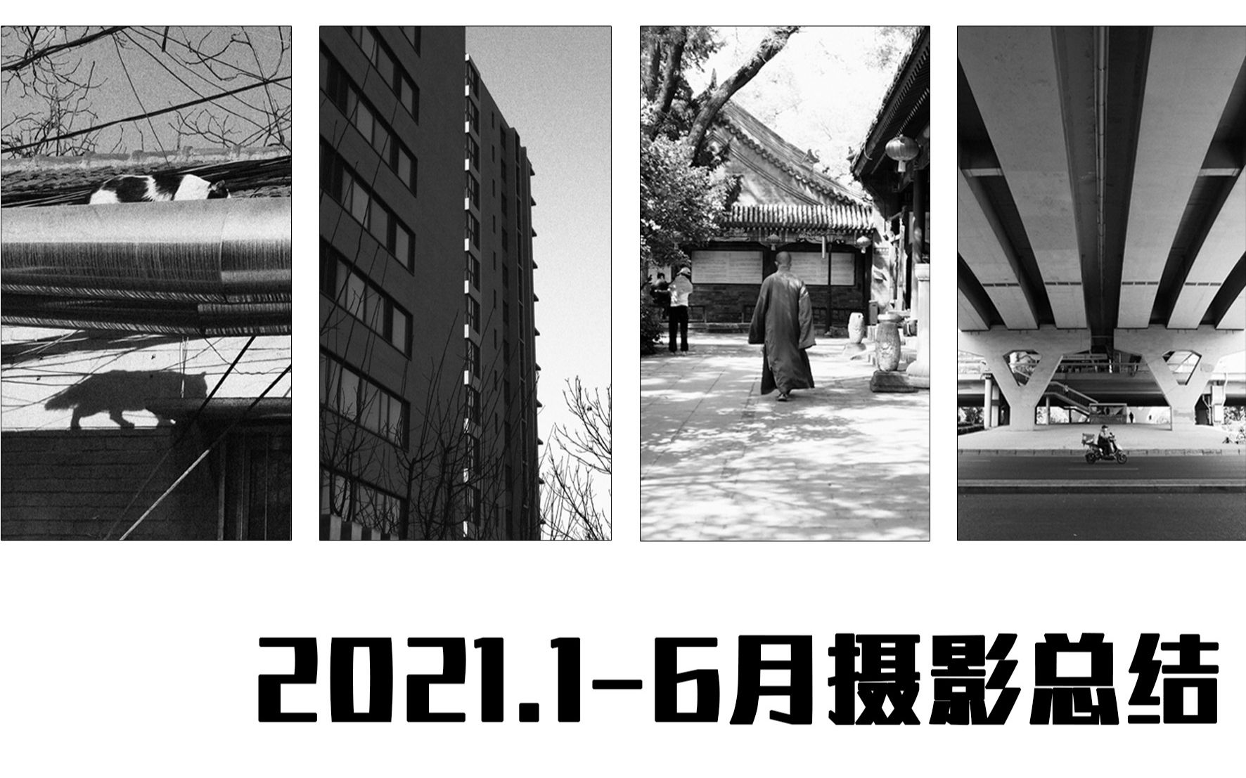 【2021.1-6摄影总结】一成不变的枯燥生活中可以观察到些什么?