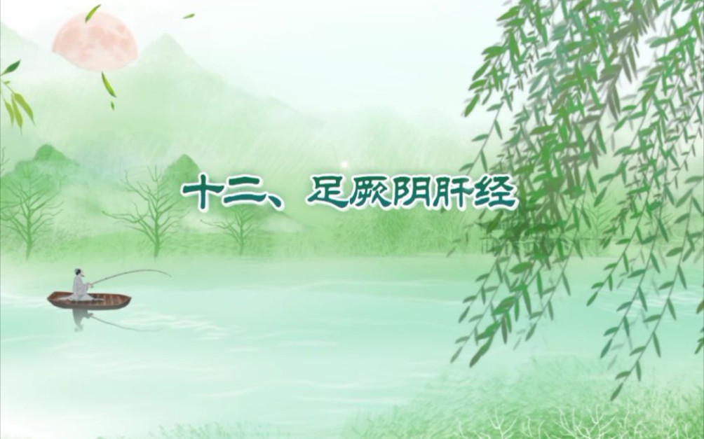 【针灸干货】足厥阴肝经循行及要穴☕