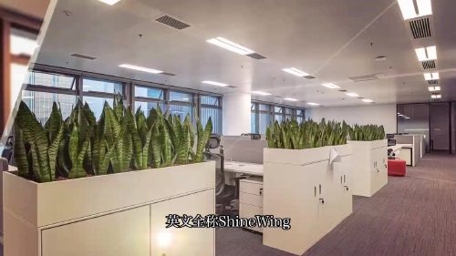 sw是哪个会计师事务所