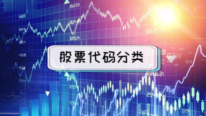 股票代码分哪些种类