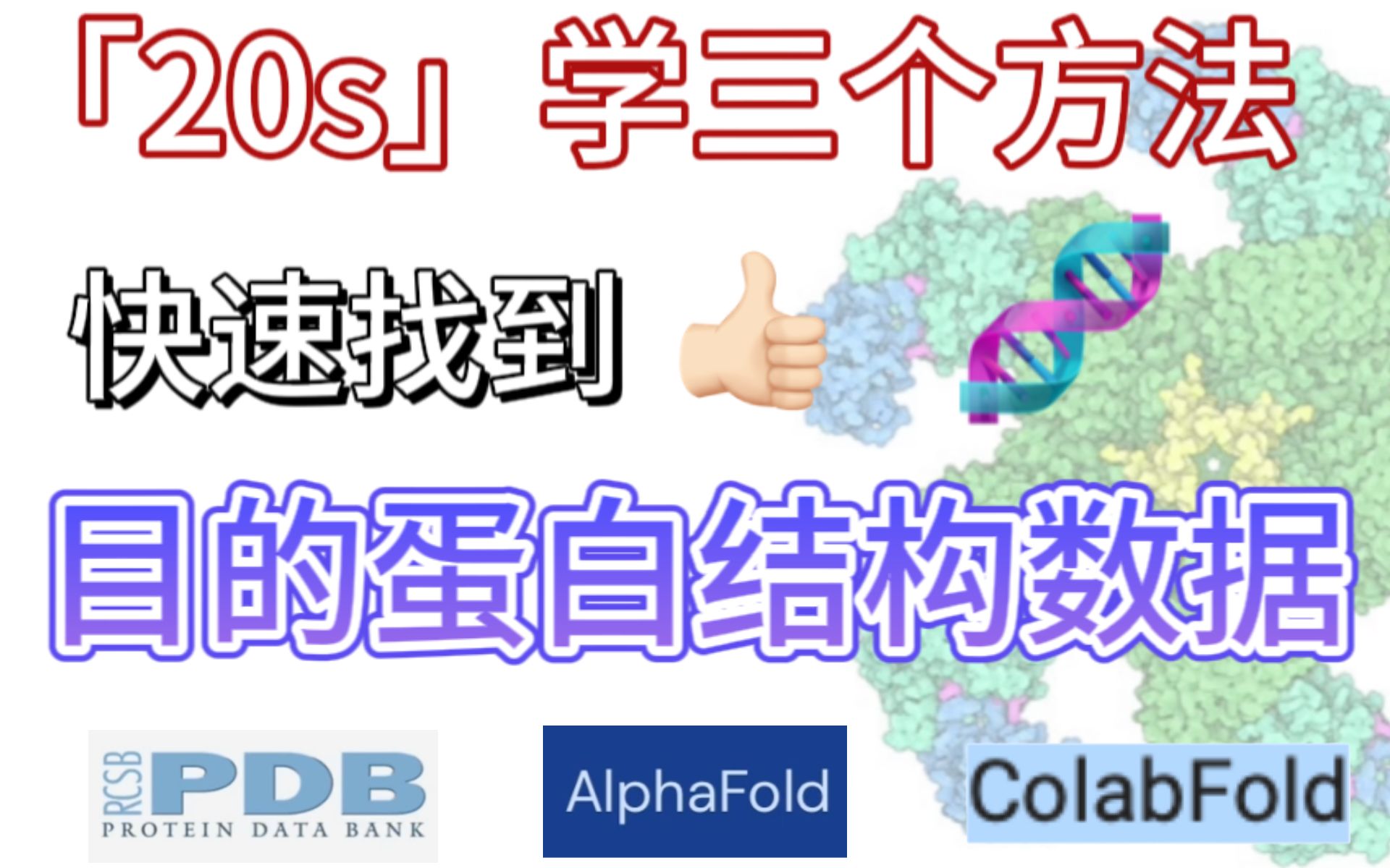 中科院博士亲授!20s教会你三种查找目的蛋白结构的方法!超简单!进来学!