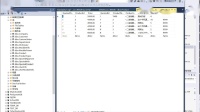 DevExpress(Winform)项目实战课程第二十一次课(产品导入)