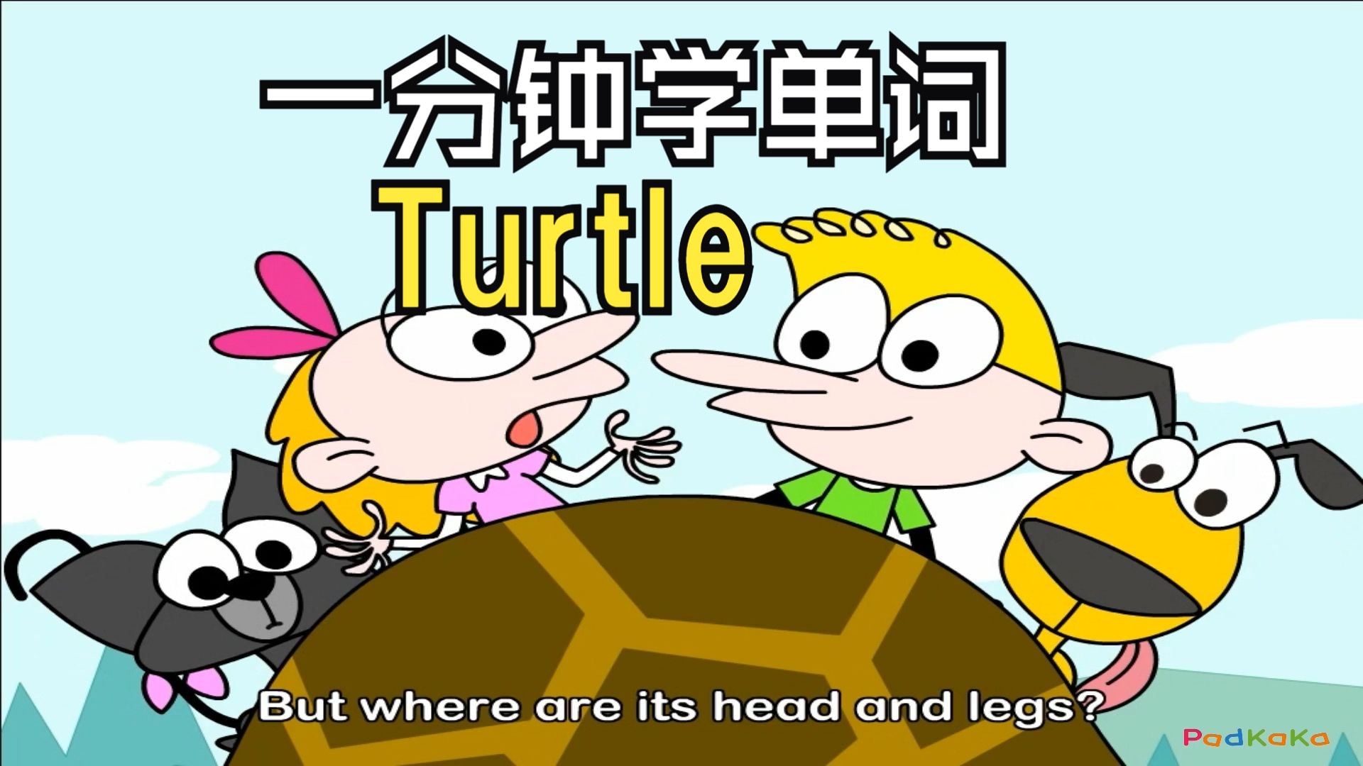 285-Turtle