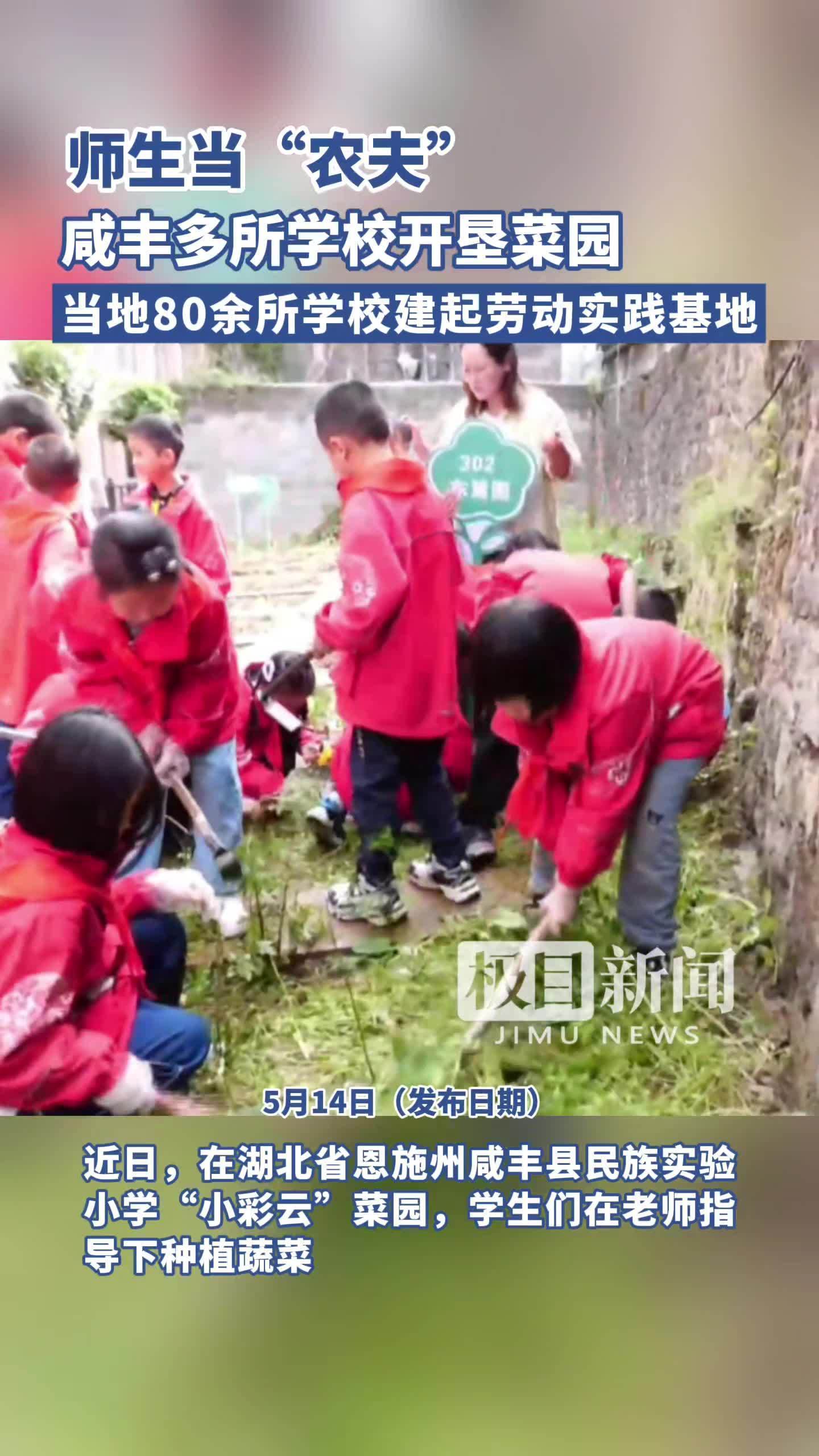 师生当"农夫",咸丰多所学校开垦菜园,建起劳动实践基地