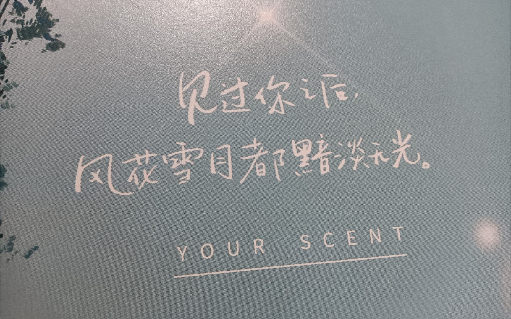 【小说开箱】|全网最慢《我只喜欢你的信息素》开箱