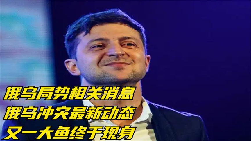 俄乌局势相关消息,俄乌冲突最新动态,又一大鱼终于现身