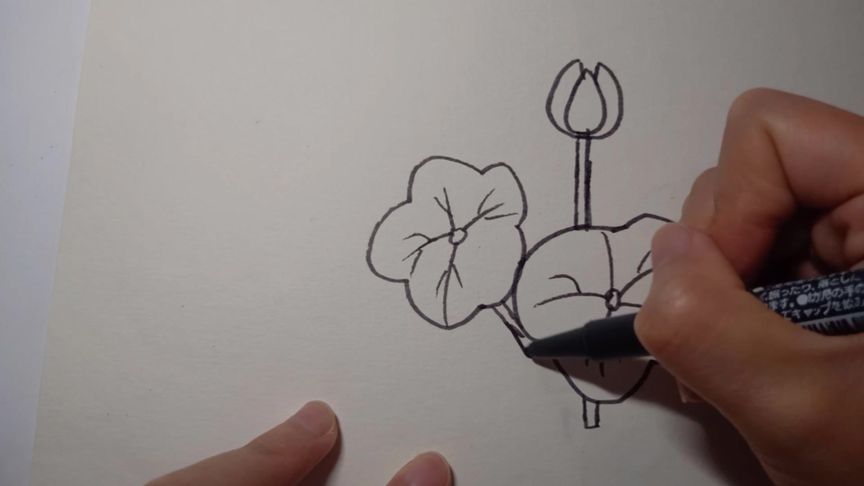 简笔画画好看的荷叶,小朋友一起来画画,简单易学哦