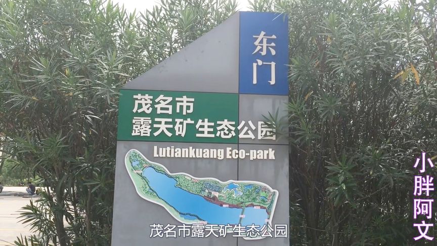 在广东茂名火车站,坐3路公交车,就可以到达茂名这个美丽的公园