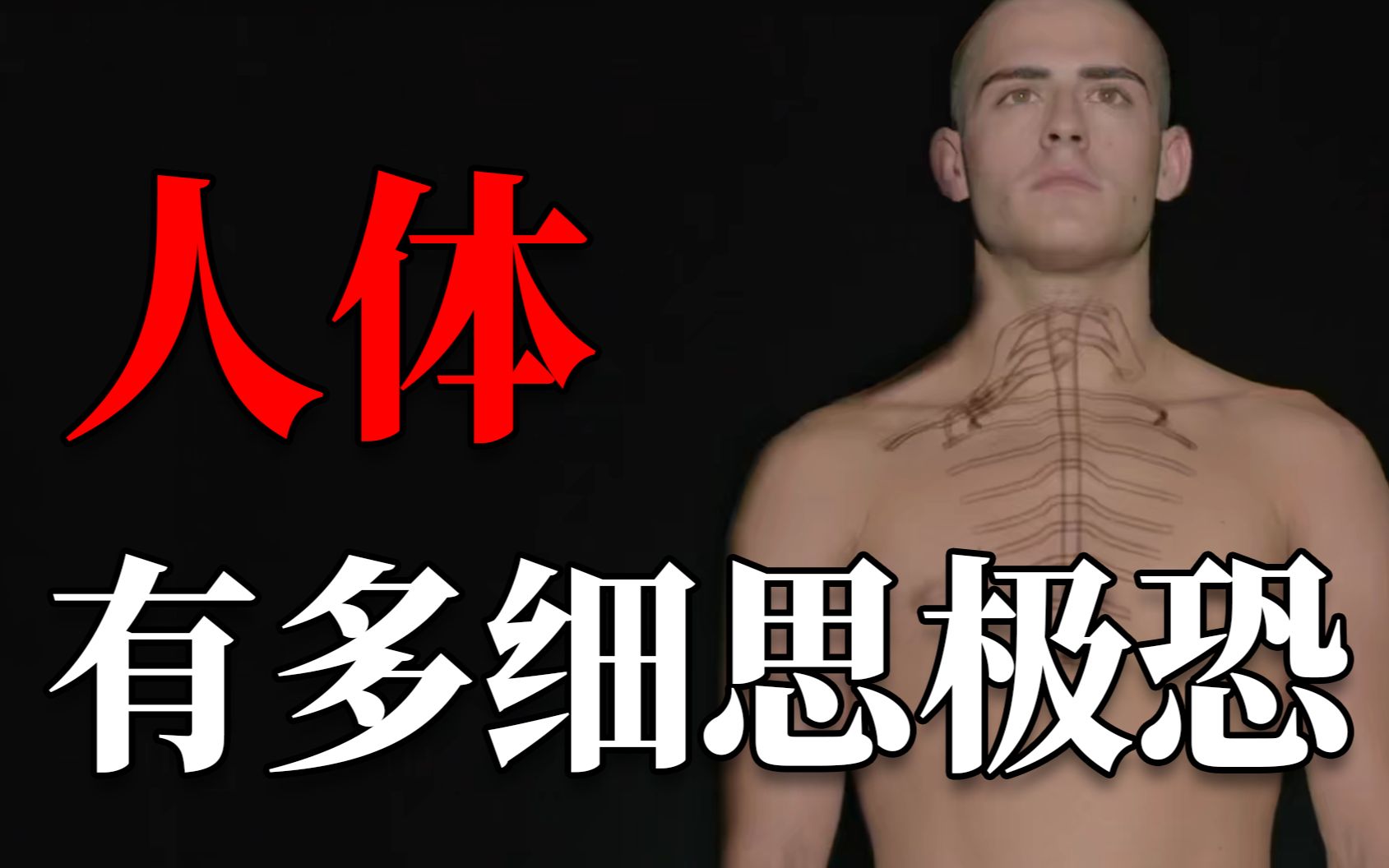 人体有哪些细思极恐的细节?解析人体的科普纪录片TOP10