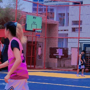 璐的回忆录 