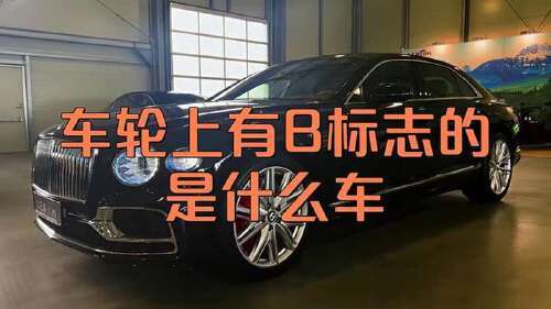 车标带B的豪车盘点,最后一款竟是国产骄傲!