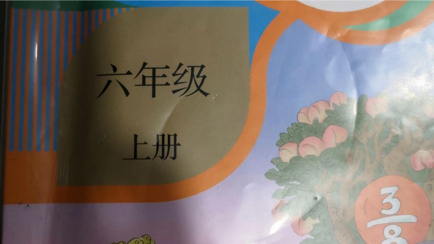 12岁少年讲解人教版六上数学,第一单元。