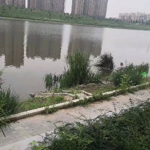 就是爱钓鱼呀 