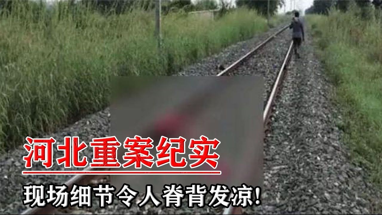 河北重案纪实:离奇卧轨的妻子! #社会 #犯罪 #揭秘 #悬案 #奇闻