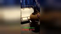 气流投篮-广东科技馆展品科学原理科普演示(科教展品定制源头厂家-...