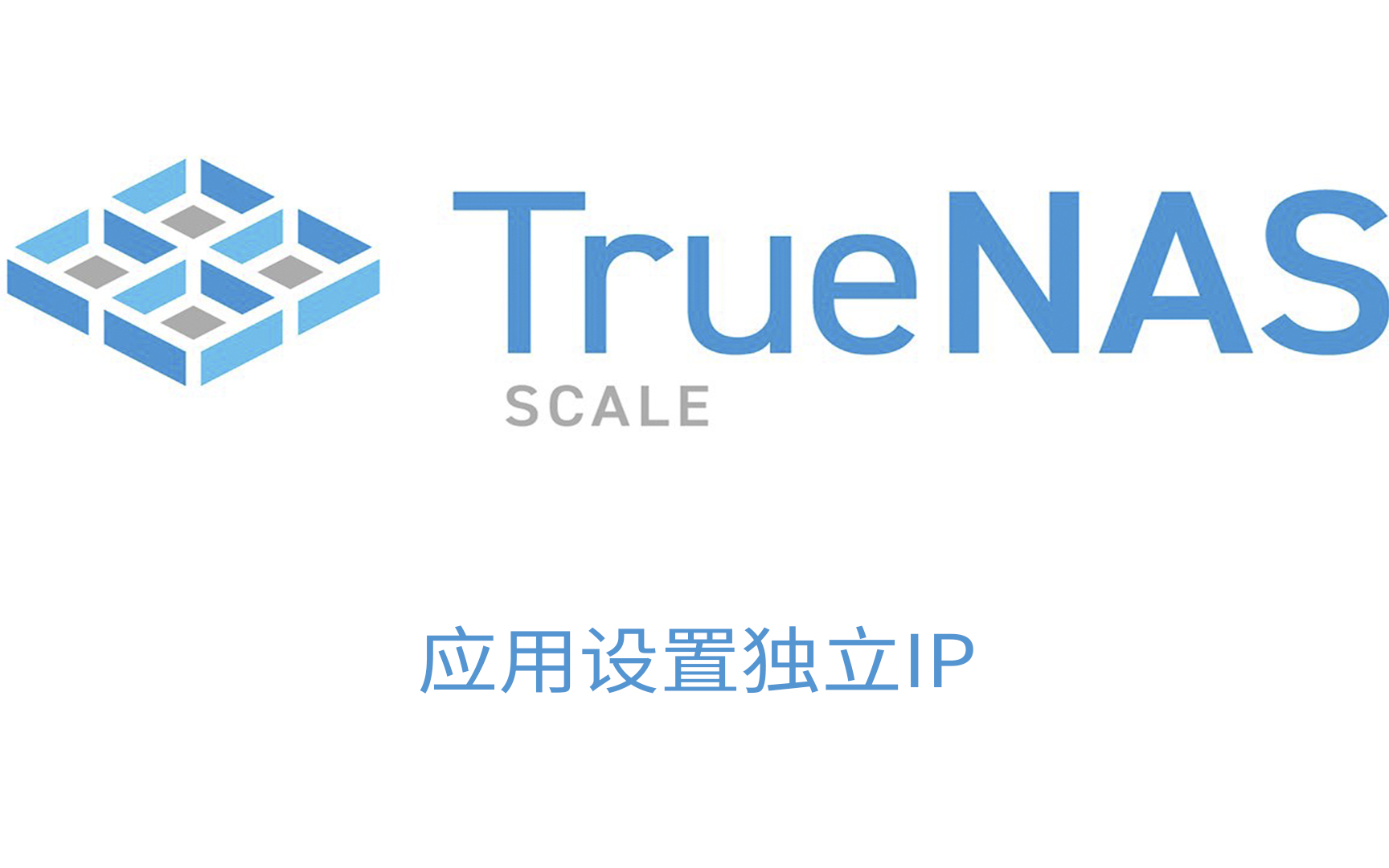 TrueNAS SCALE社区应用设置指定网络接口,真正独立IP,实现bt分流,...